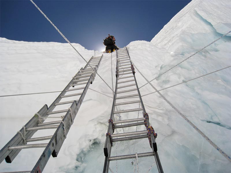 4 Steps to Moving up the Corporate Ladder? | Business Professionals